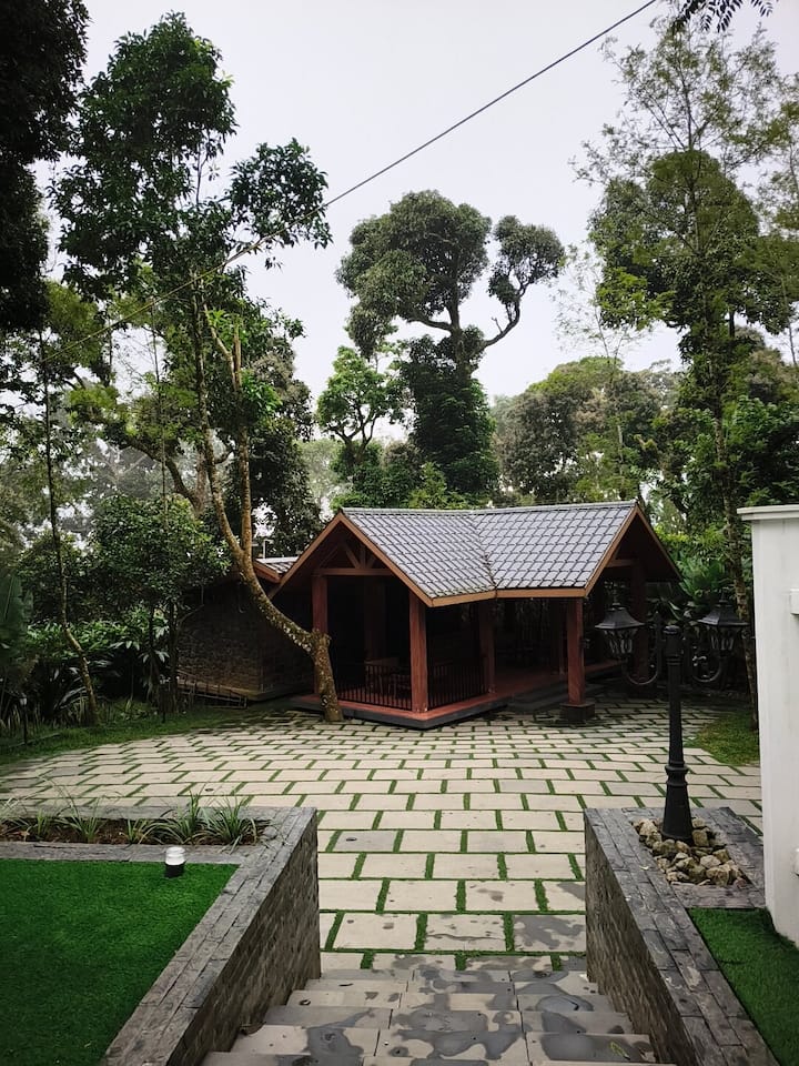 31st December Farms Munnar - Munnar