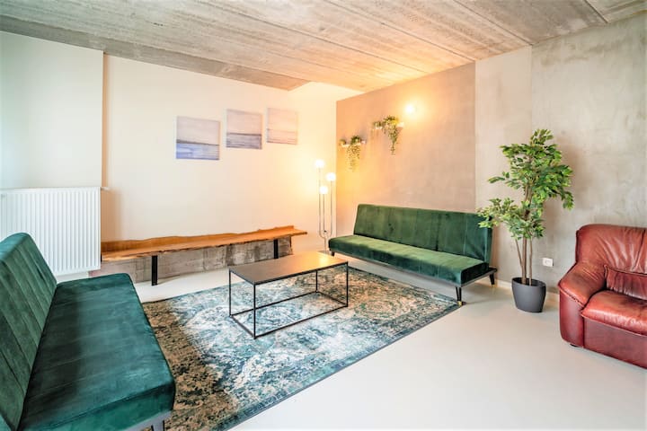 Antwerp Central Residence 102 - Antwerp