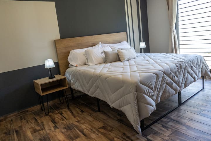 Departamento Con Excelente Ubicación - Aguascalientes