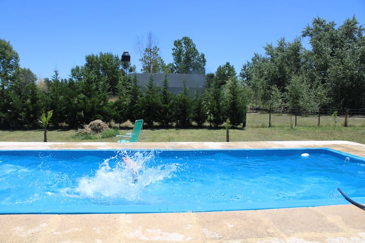 Los Pinos - San Vicente