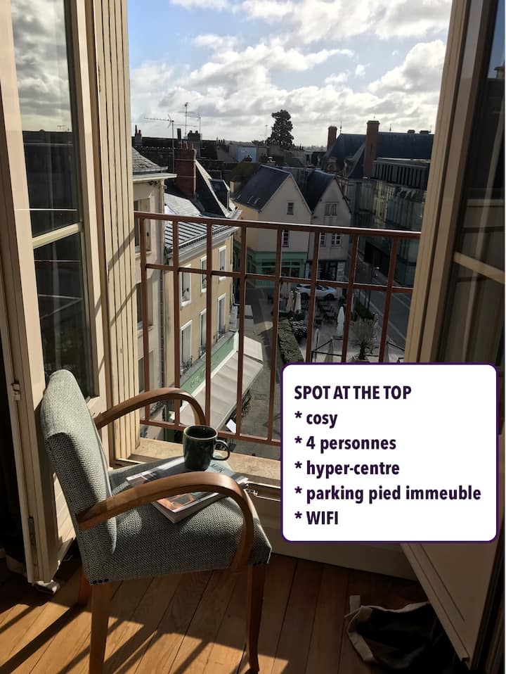 Un Nid Douillet En Plein Centre - Chartres