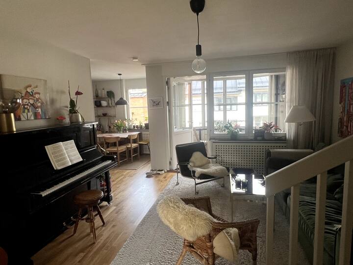 Familjevänlig Etagelägenhet I Hjärtat Av Södermalm - Estocolmo