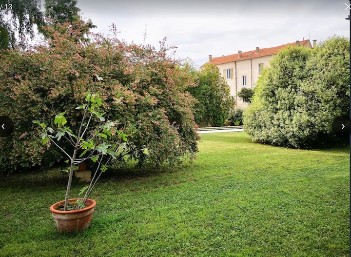 Entre Cévennes Et Mer - Alès