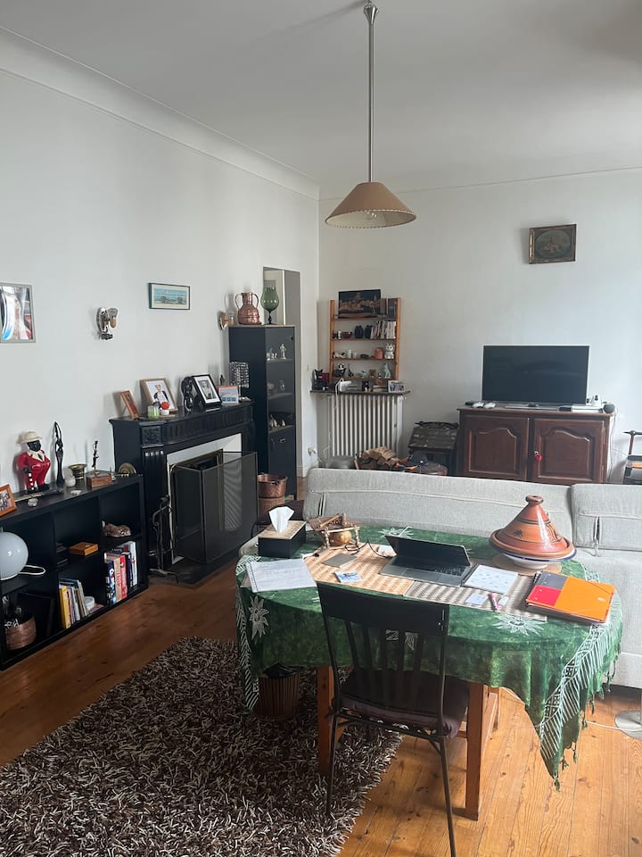 Partage Grand Appartement- 100m2 - Pau