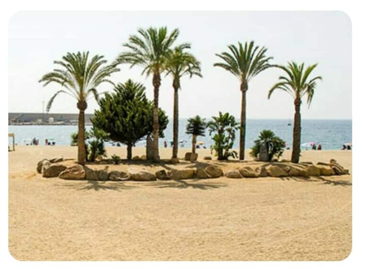 Garrucha, Cerca De La Playa - Garrucha