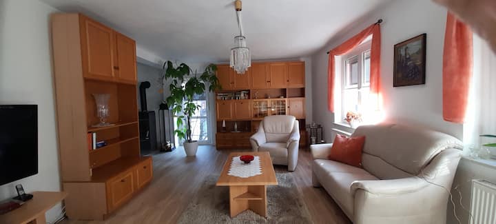 Large City Apartment With Green Garden - Dresden