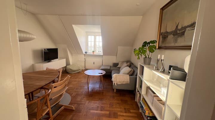 Fin Lägenhet På Frederiksberg - Copenhague