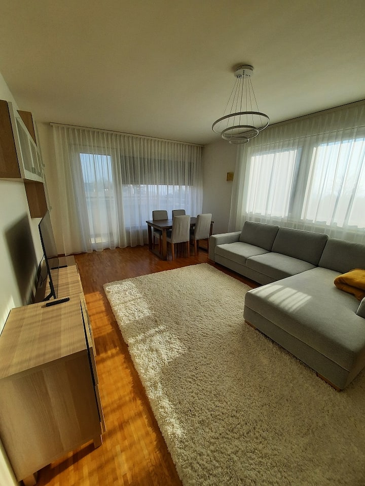 Relaxing And Cozy Two Rooms Flat. - Losanna