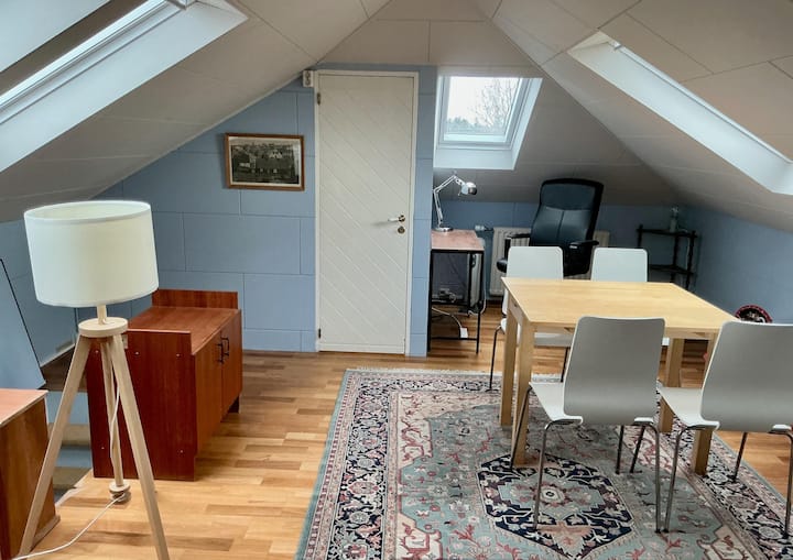Attic Apartment/conjoined Loft Apartment - Reikiavik