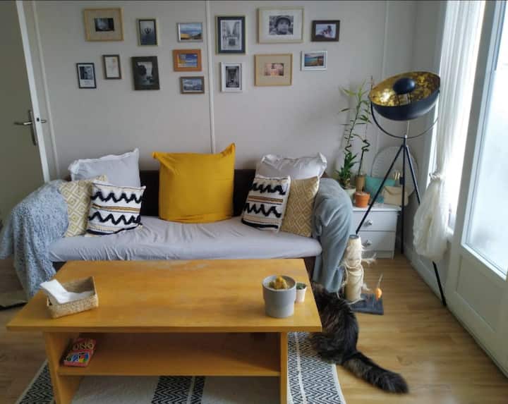 Chambre Privée En Mode Déconnexion ! - Dijon