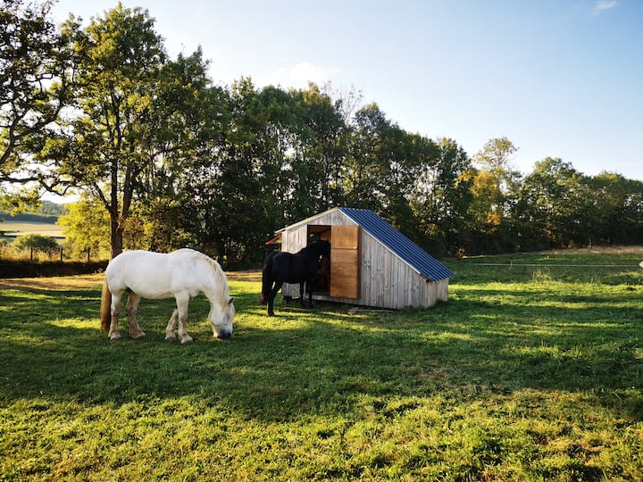 La Cabane Auprès De Mon Arbre -