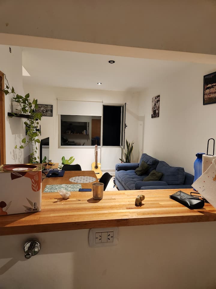 Duplex En Zona Céntrica - La Plata