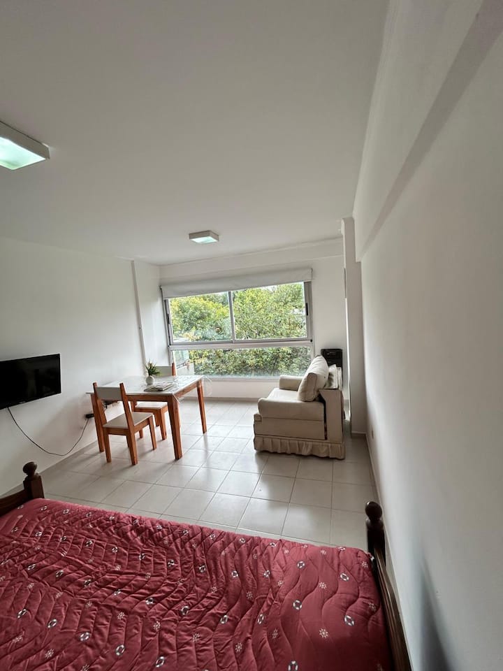 Monoambiente Centro: La Plata - La Plata, Argentina