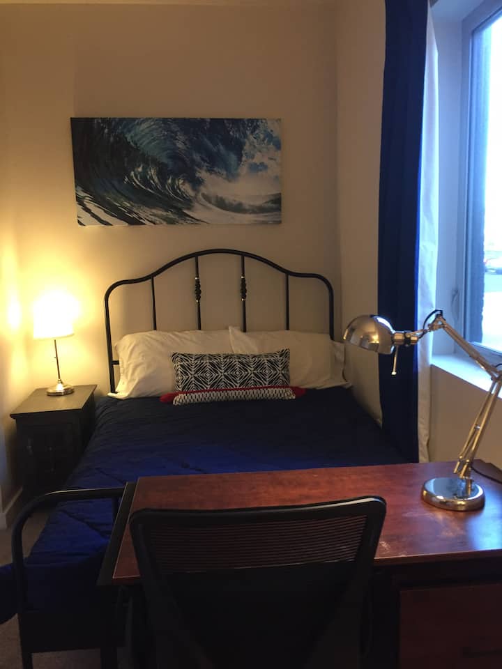 Sparkling Clean Shared Apt Rm 2 - Troy, NY