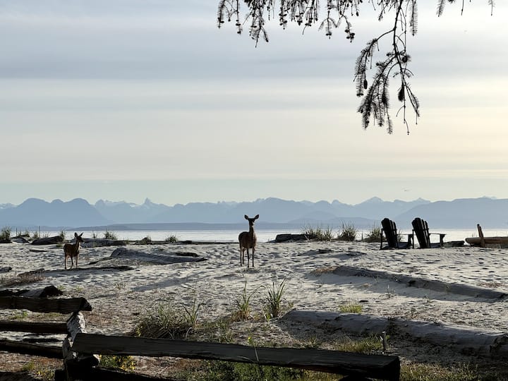 On Beach • 30 Mins Mt Wa • Fireplace • Ocean Views - Mount Washington