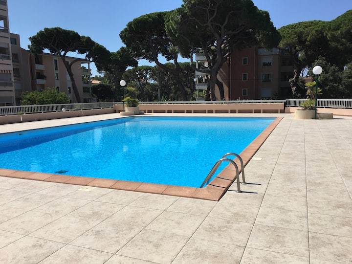 Port D'hyères, T2-piscine, Plage Commerces à Pieds - Presqu'île de Giens