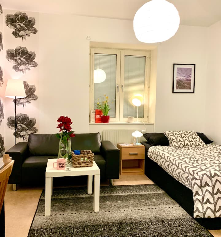 Renovated Cozy Furnitured Room Only For Girls - Jönköping