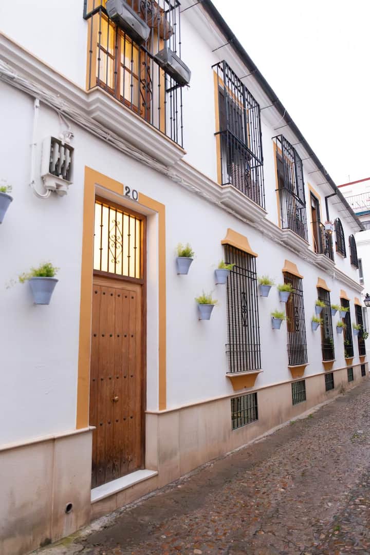 "Judería De Córdoba: Andalusian Courtyard Next To The Mosque" - Córdoba