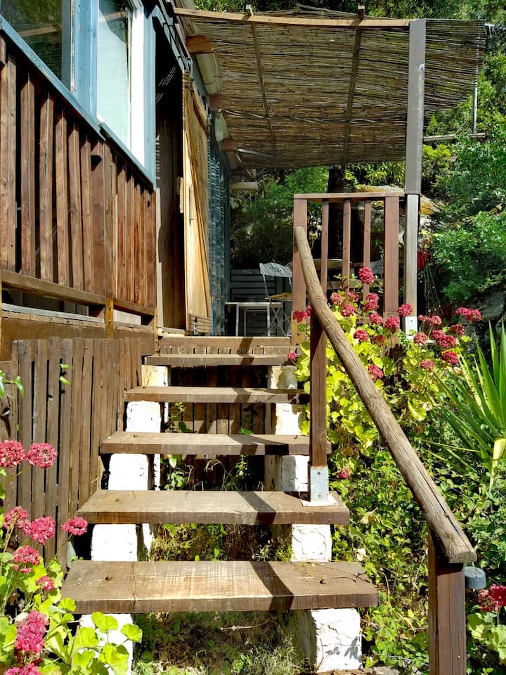 Chalet Sous Les Chênes - Porto-Vecchio