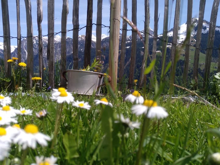 "Auszeit" Im Herzen Vorarlbergs - Sonntag