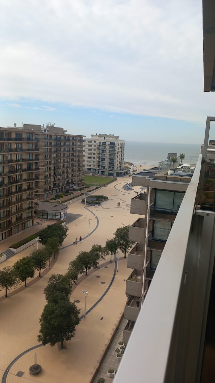 Bordeleau - Studio Ensoleillé Avec Vue Sur La Mer - La Panne