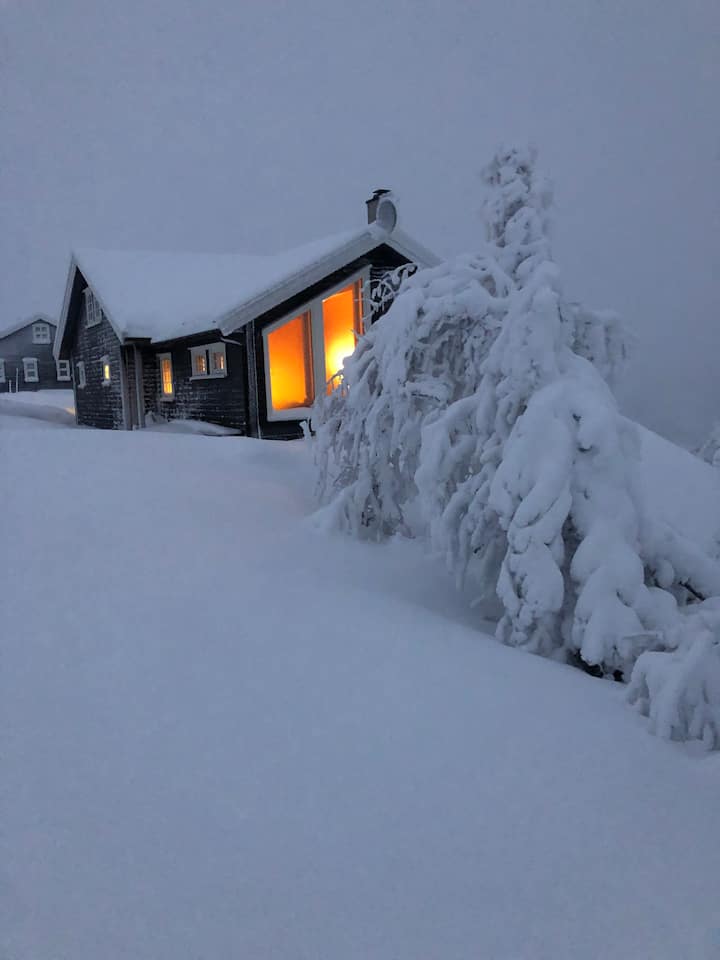 Flott Hytte På Høyfjellet Rett Ved Skiløyper - Norway