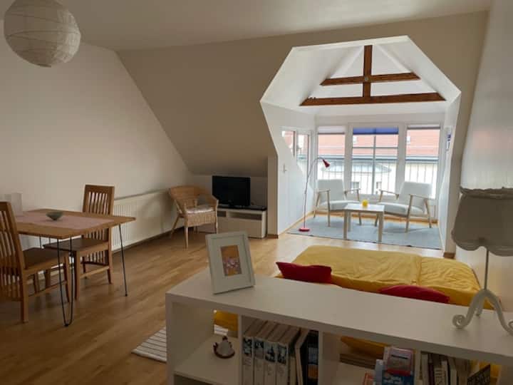 Apartment In Leipzig-gohlis - Leipzig