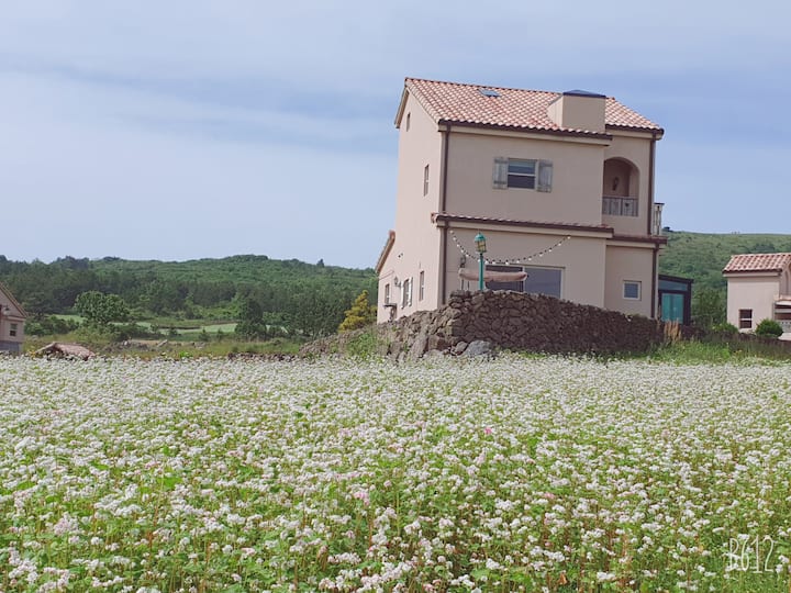 Arlesstarinjeju - Jeju-do