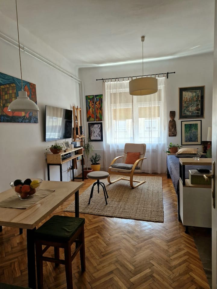 Super Cosy Apartment , Located On Trešnjevka - Zagreb