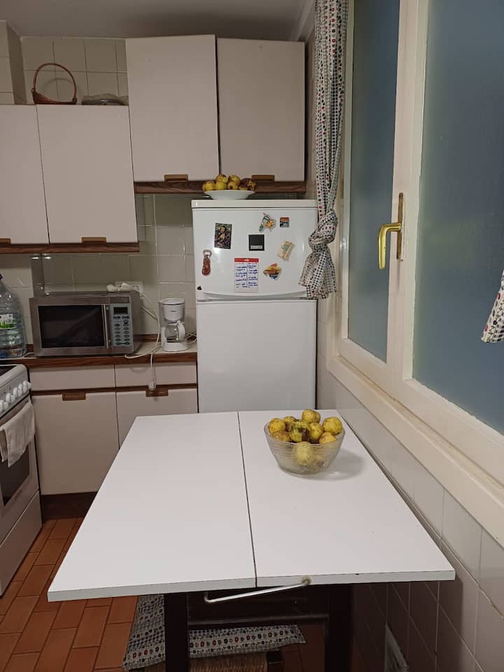 Estancia Larga
Estudiantes , Profesionistas - Donostia-San Sebastián