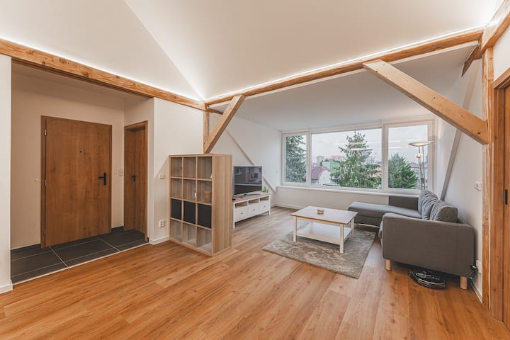 Family Comfort In Attic Wooden Paradise - 捷克