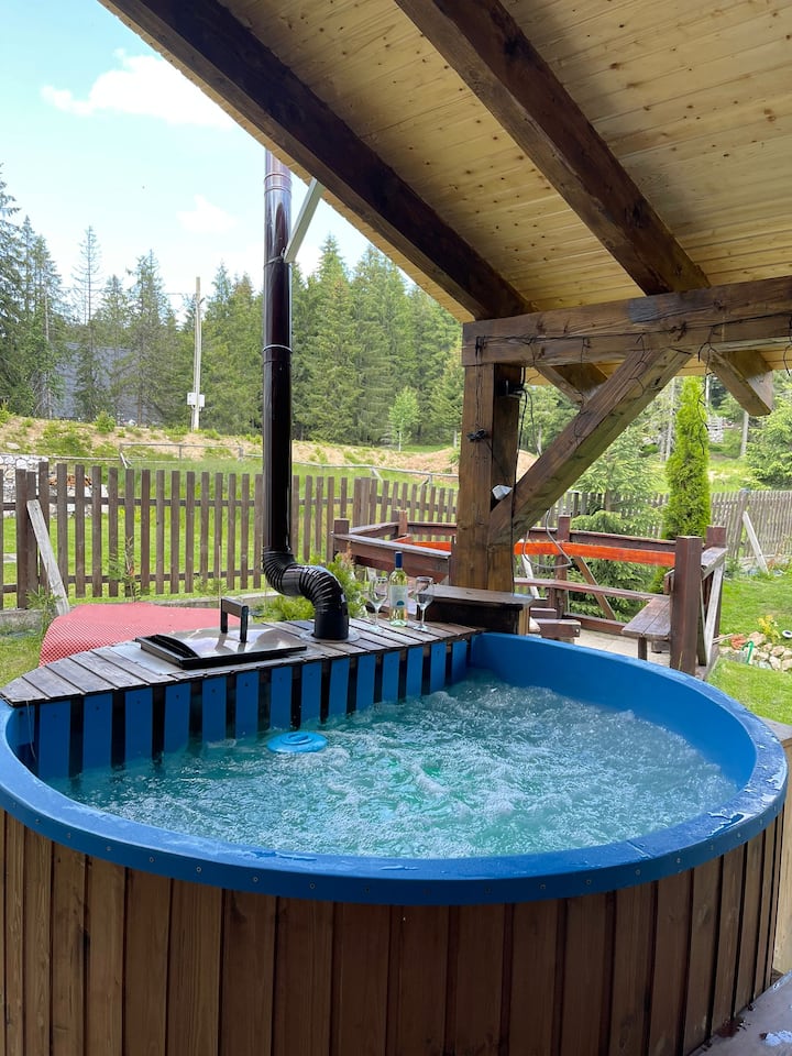 Cabana Andre Vartop - Arad