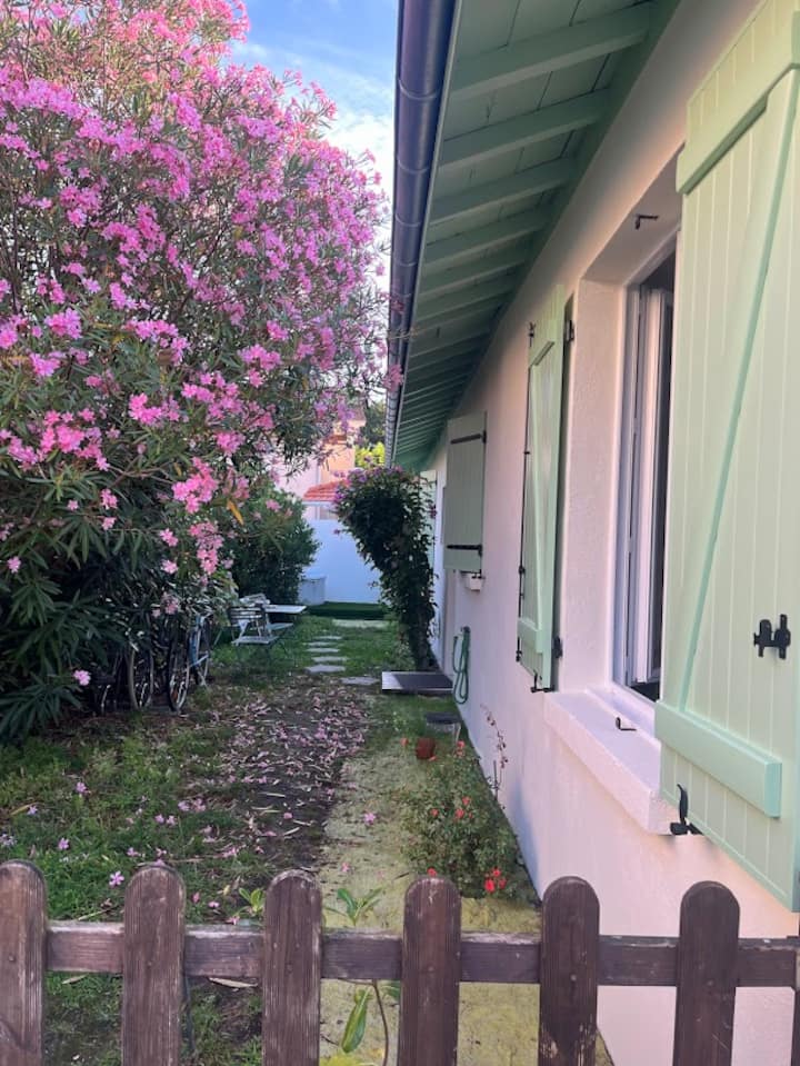 Maison T3 Mitoyenne Avec Jacuzzi Et Jardin - Cap Ferret