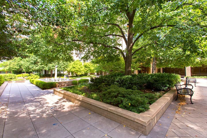 Stylish Oasis 2br Stay Near D.c. - Washington, D.C.