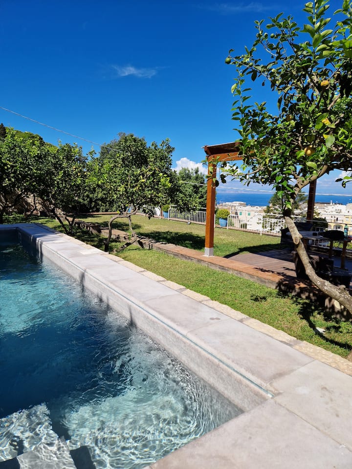 Villa Albachiara Up To 8 Guests - Capri