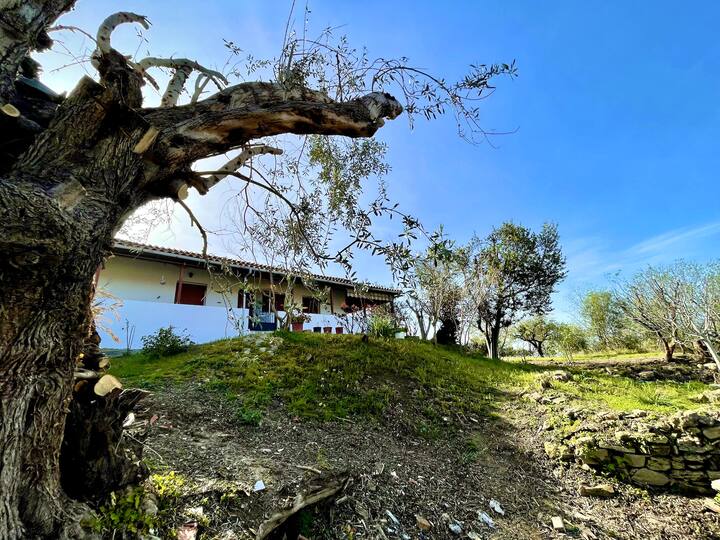 Villa Kosta Vaggelia, Peloponnèse, Greece - Пиргос