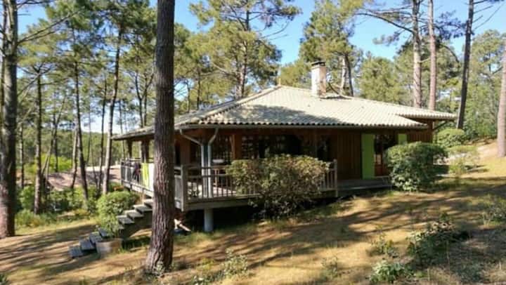 Villa De Charme Entre Les Pins - Cap Ferret