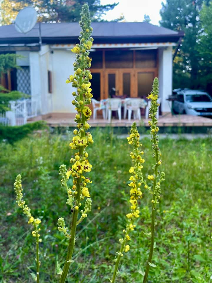 Vintage Lake House - Siófok