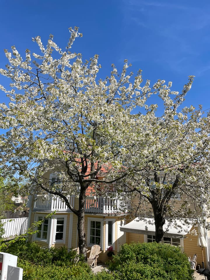 Villa Close To Stockholm City - Stockholm