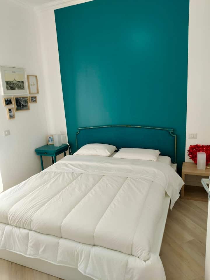 Vatican Museum Home - Rome