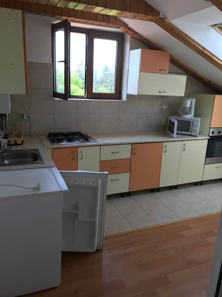 Private Apartment In Guest House - Brașov