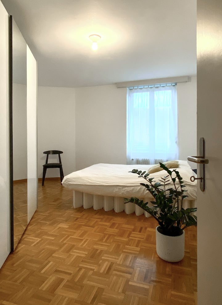 Beautiful Wipkingen Limmat Room - 蘇黎世