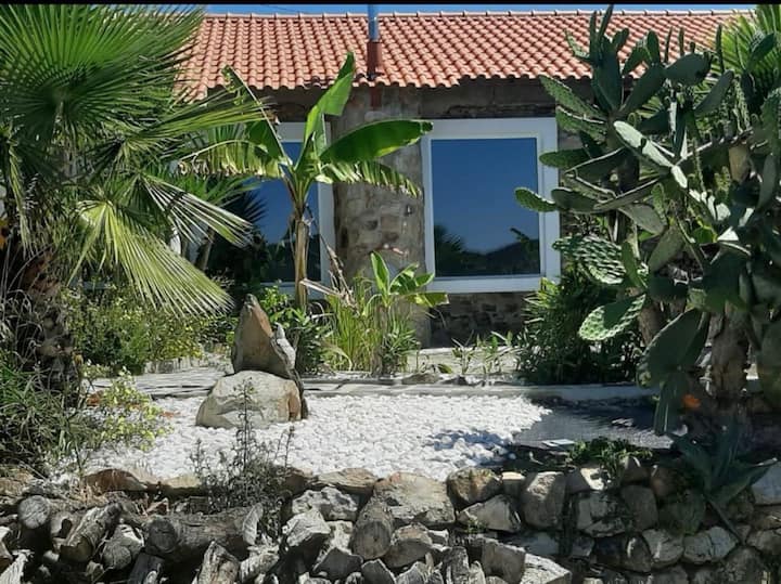 Ola Bella Vista - Figueiró dos Vinhos