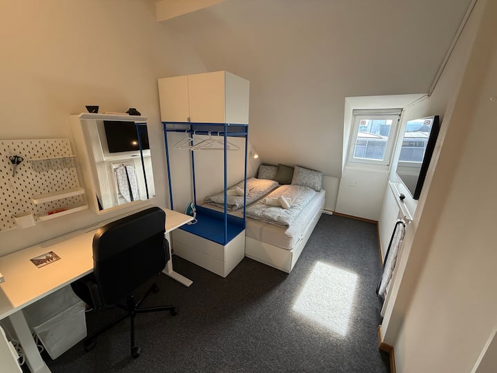 Tiny Study Room "1", Bern Center, Shared Flat - Bern