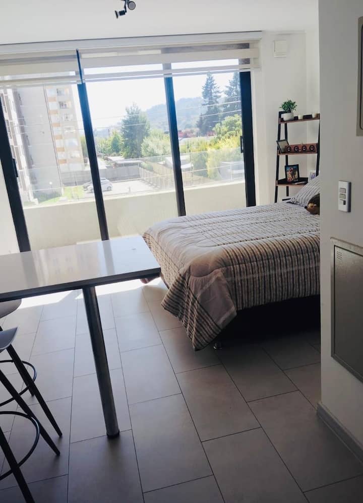 Acogedor Y Moderno Studio - Temuco