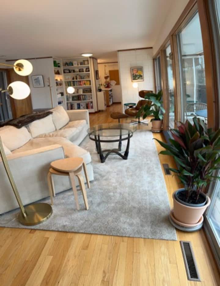 Mid-century Gem On The Hill - Ann Arbor, MI