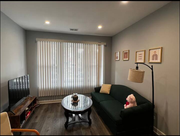 Cozy 2br Apartment Near Downtown Chicago! - Oak Park