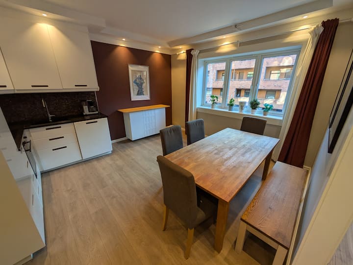 Praktisk Og Hyggelig Leilighet - Oslo