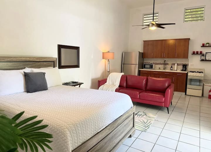 Puntas Studio W/ Pool Access - Rincón