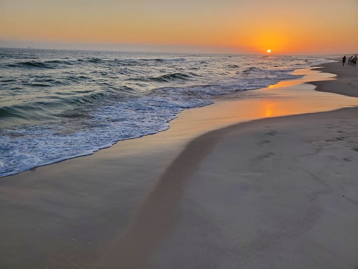 The Emerald Squid - Ocean View - Beachfront - Alabama